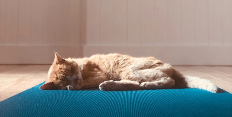 Simple Subject in Grammar | Readability | Readable Blog